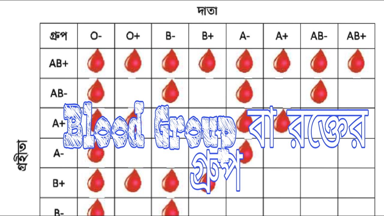 Blood group & Blood donation (রক্ত গ্রুপ ও রক্তদান) - YouTube