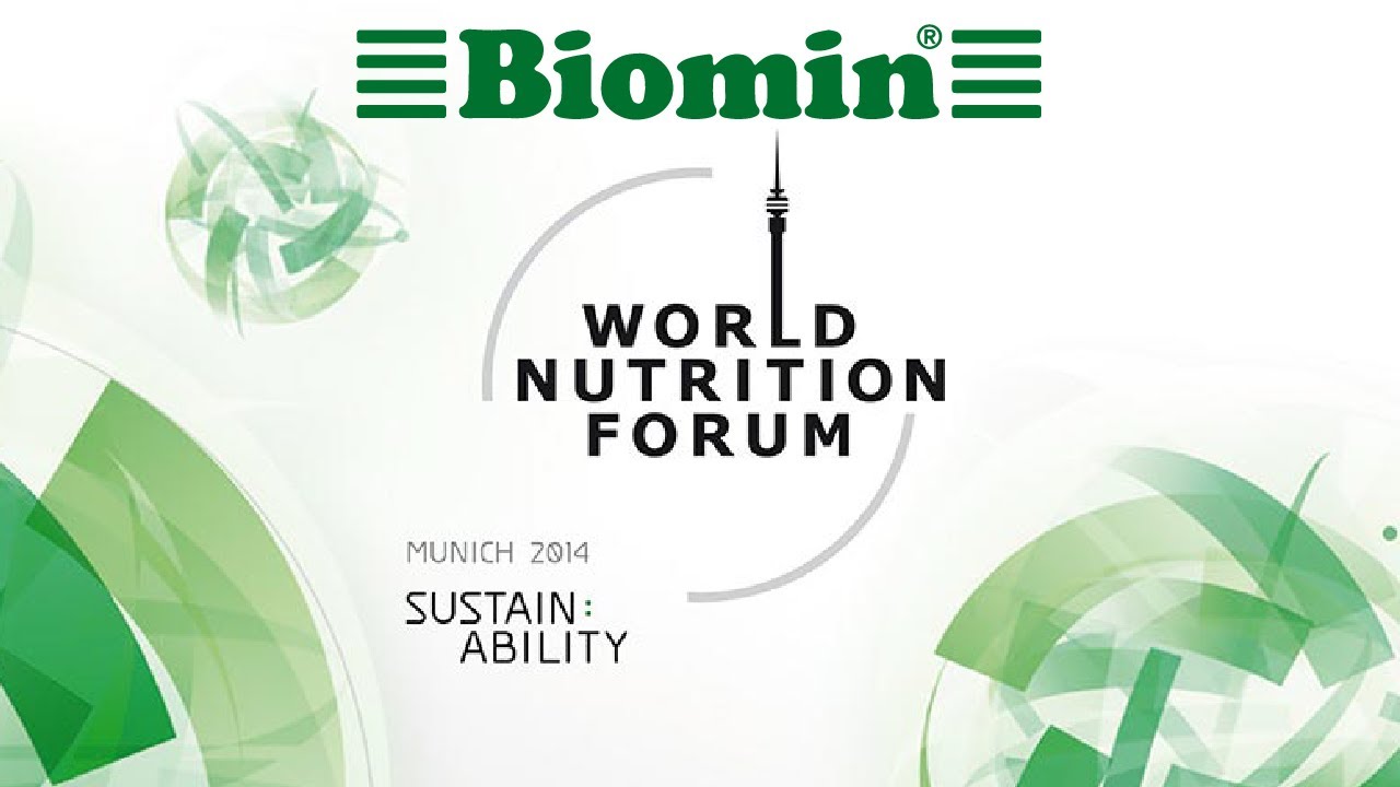 WNF Intro 2014 - YouTube