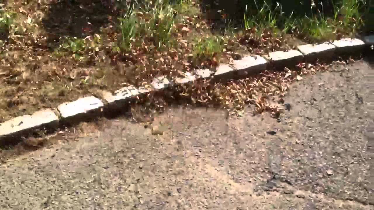 Blowing with the Redmax EBZ 7500 - YouTube