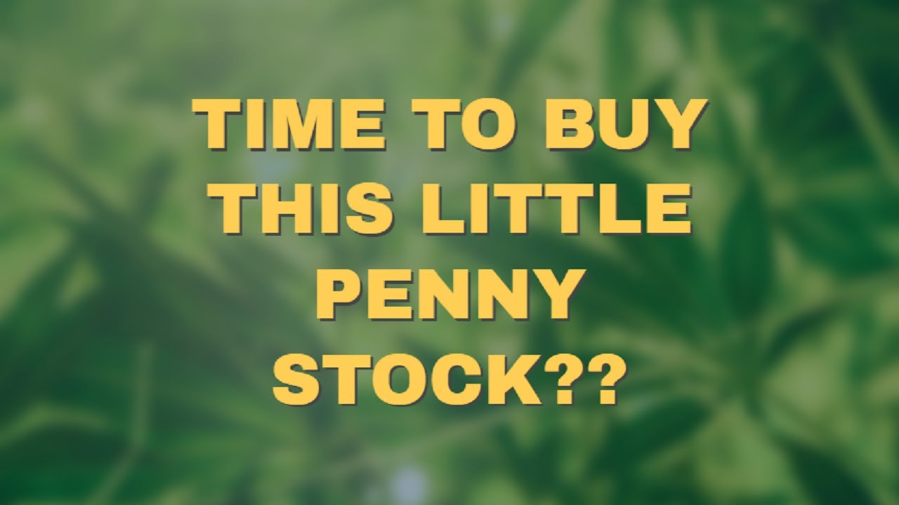 Hemp Inc Update 07-14-2022 Is Now The Time To Buy HEMP? - YouTube