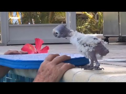 Flotation Device| Use The flotation device| #iamdulo - YouTube