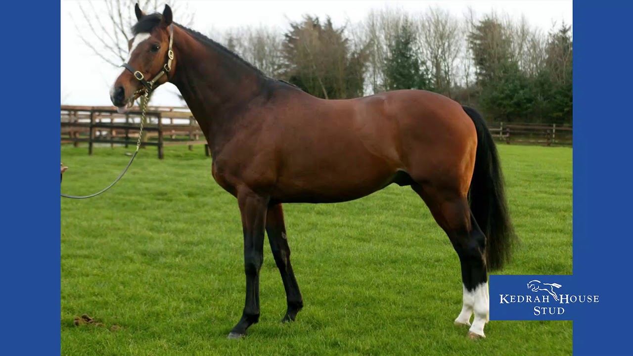 WELL CHOSEN STILLS - YouTube