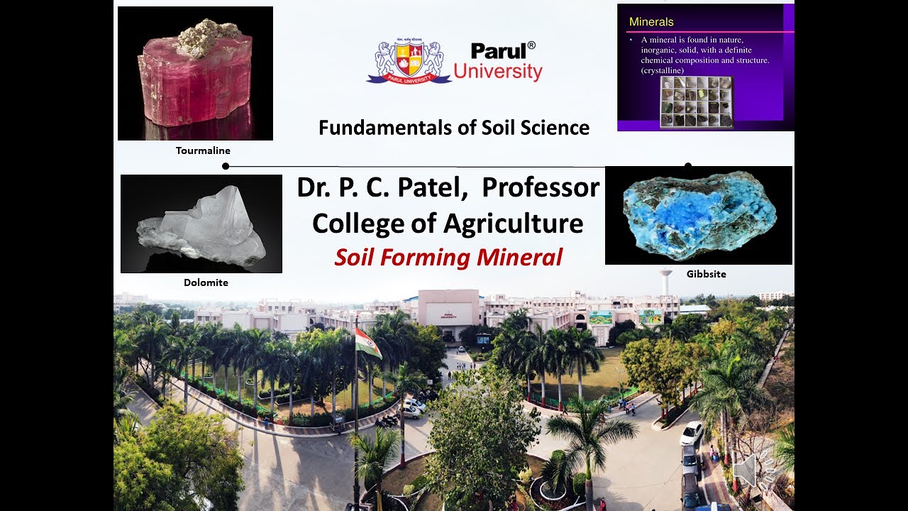 Soil Minerals: Lecture delivered by Dr. P. C. Patel, Professor, COA, PU ...
