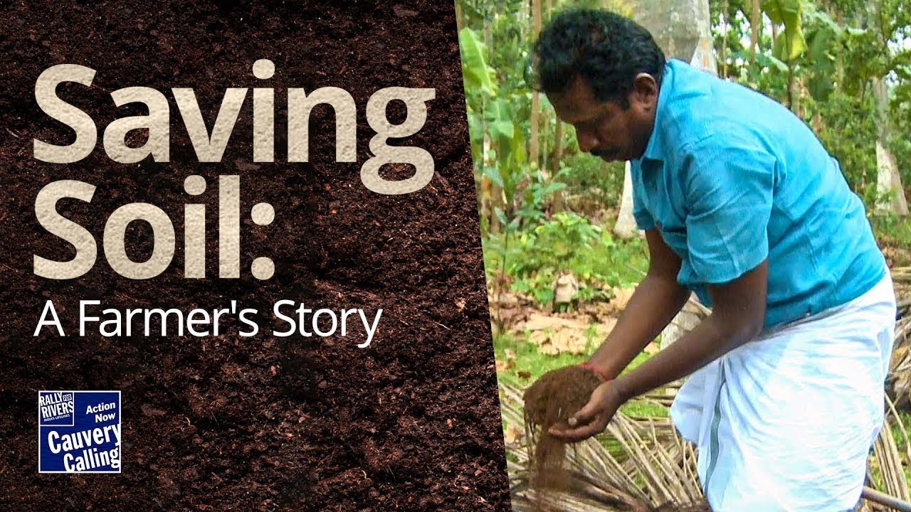 A living example of Save Soil #WorldSoilDay - YouTube