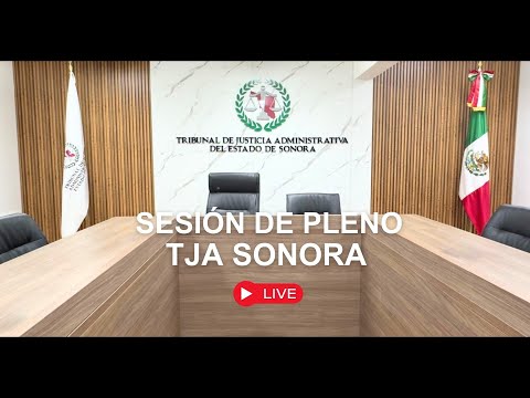 Pleno Jurisdiccional Ordinario de 4 de mayo de 2026