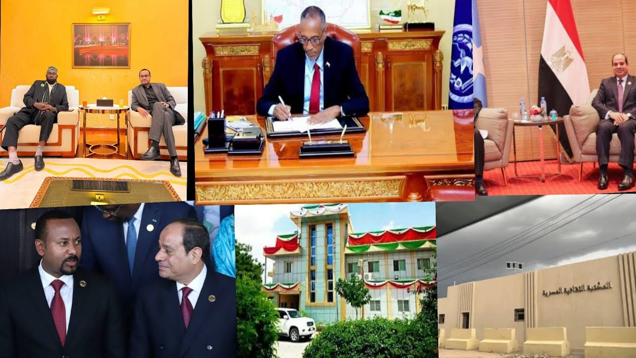 Maktabada Masaarida Madaxtoyada sland Ku-Xigtay Oo Siro Ka dubaysay oo ...