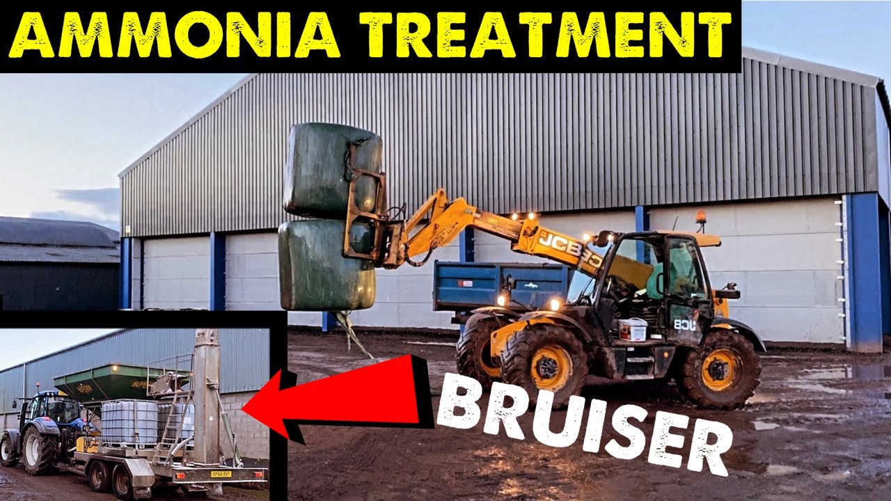 AMMONIA TREATED WHEAT STRAW | BARN CONVERSION #CRAWFORDFARMS #184 - YouTube