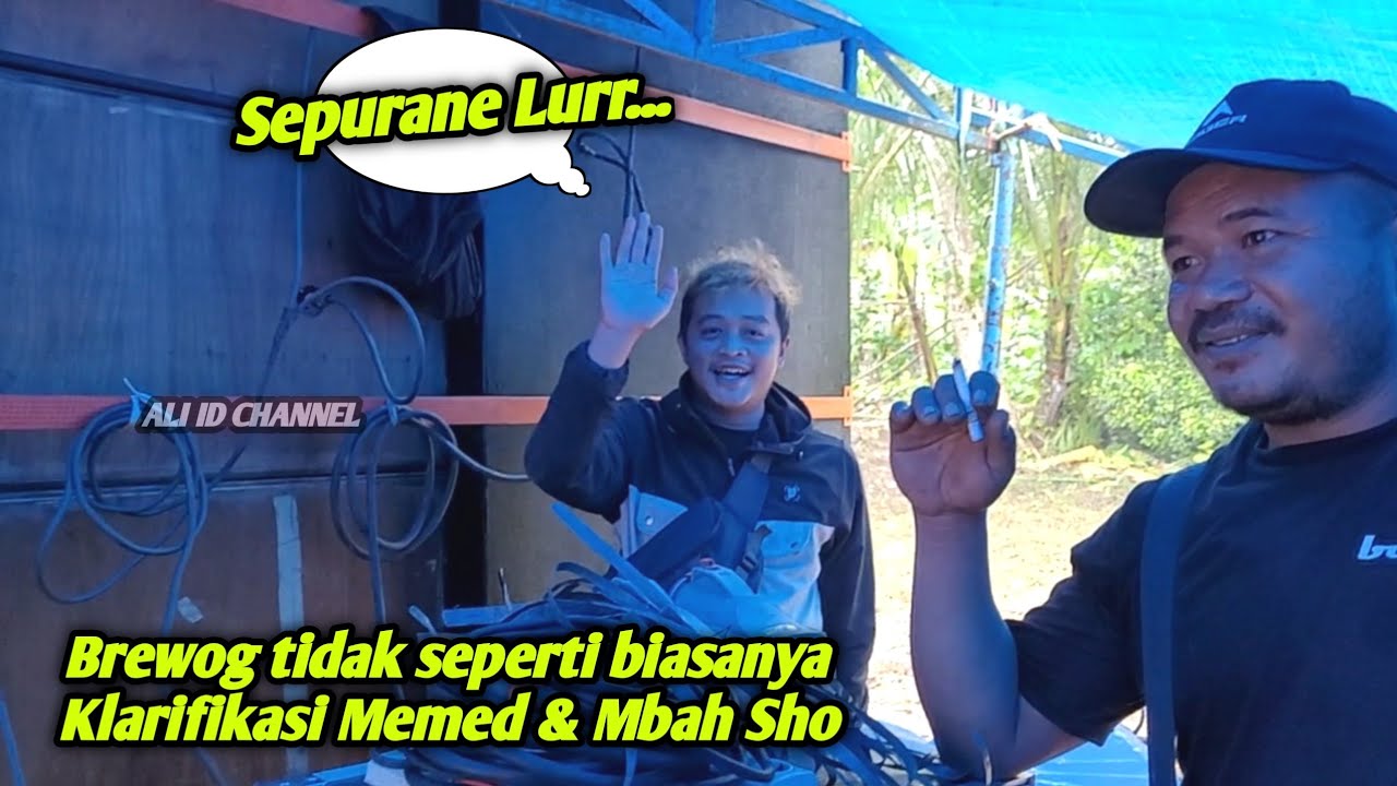 Klarifikasi Memed & Mbah Sho kenapa Brewog tidak Loss di karnaval ...