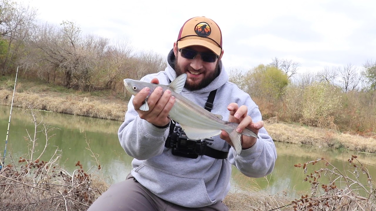 How To Catch CATFISH in Cold Water (EAST FORK TRINITY RIVER) - YouTube