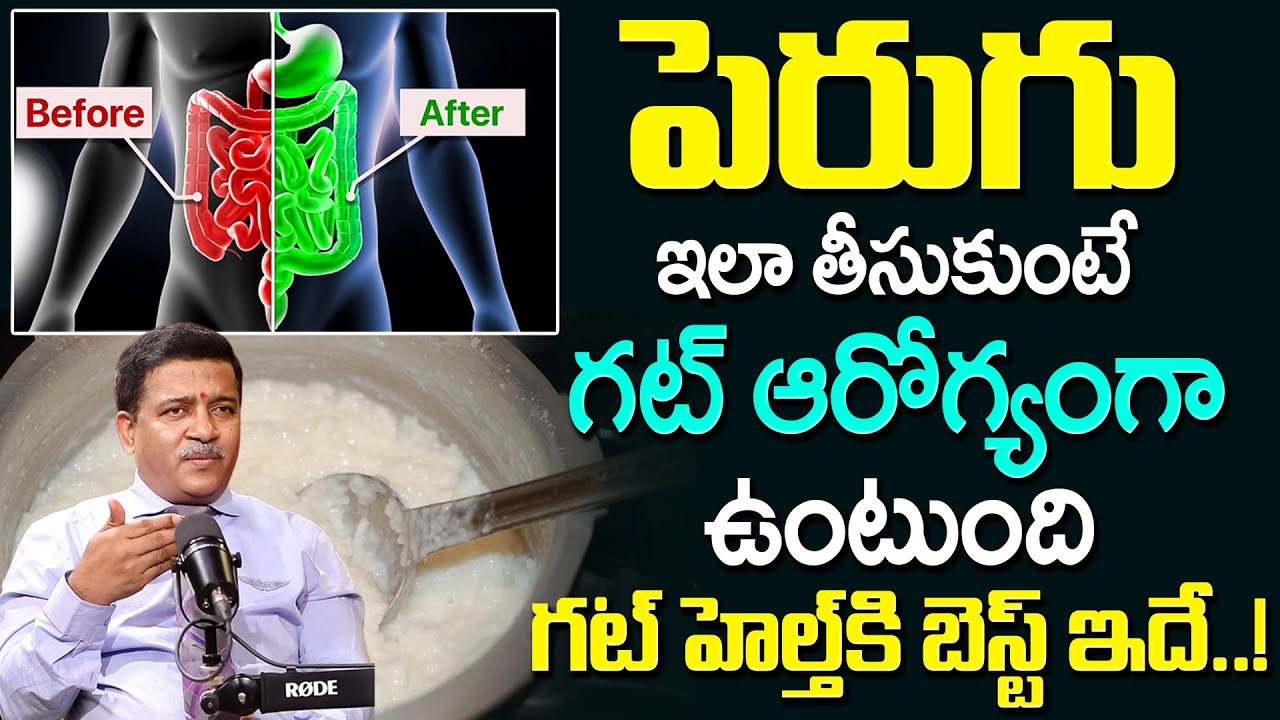 Dr Ananda Kumar - పెరుగు ఇలా తీసుకుంటే గట్ ఆరోగ్యంగా ఉంటుంది!| Truth ...