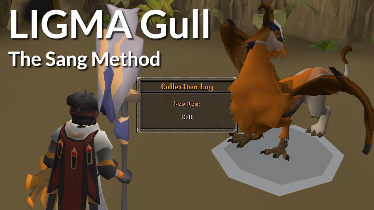 "AFK" Gull Pet Guide - The Sang Method - YouTube