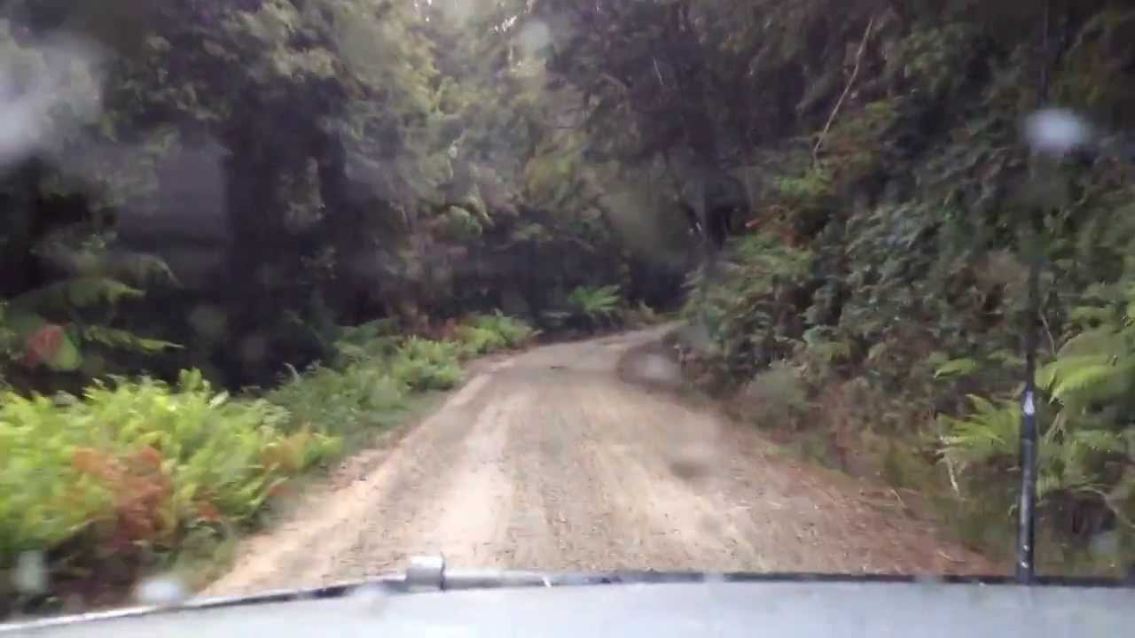 Bird River Bridge Track Tasmania - YouTube