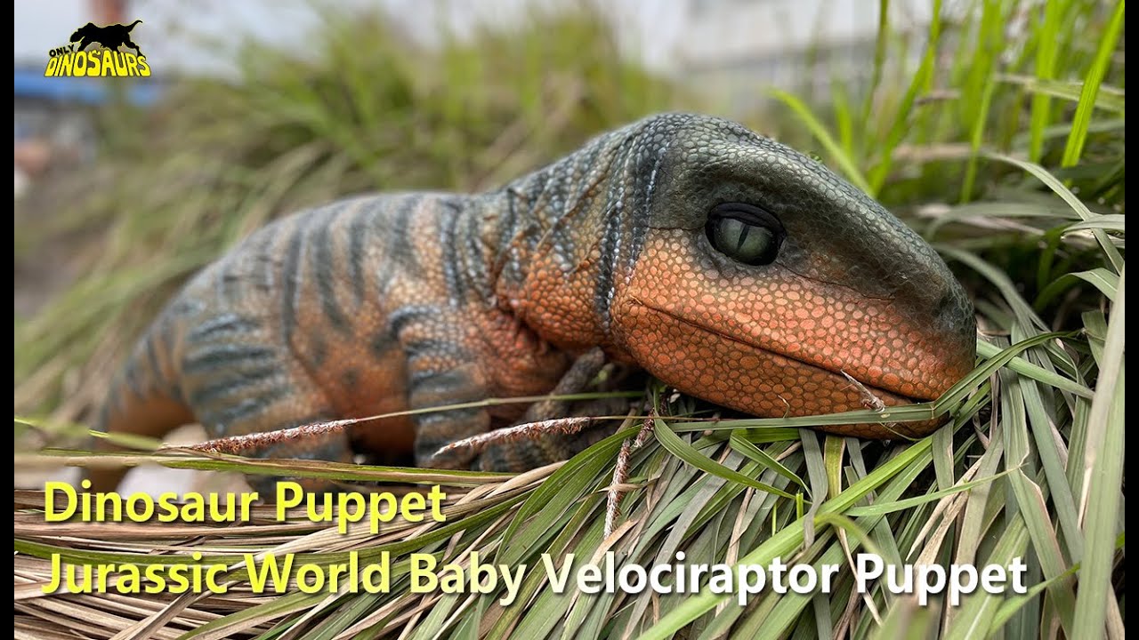 Jurassic World Baby Velociraptor Puppet | Puppet - YouTube