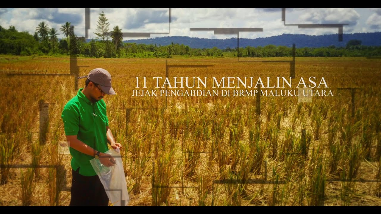 11 TAHUN MENJALIN ASA, JEJAK PENGABDIAN DI BRMP MALUKU UTARA - YouTube