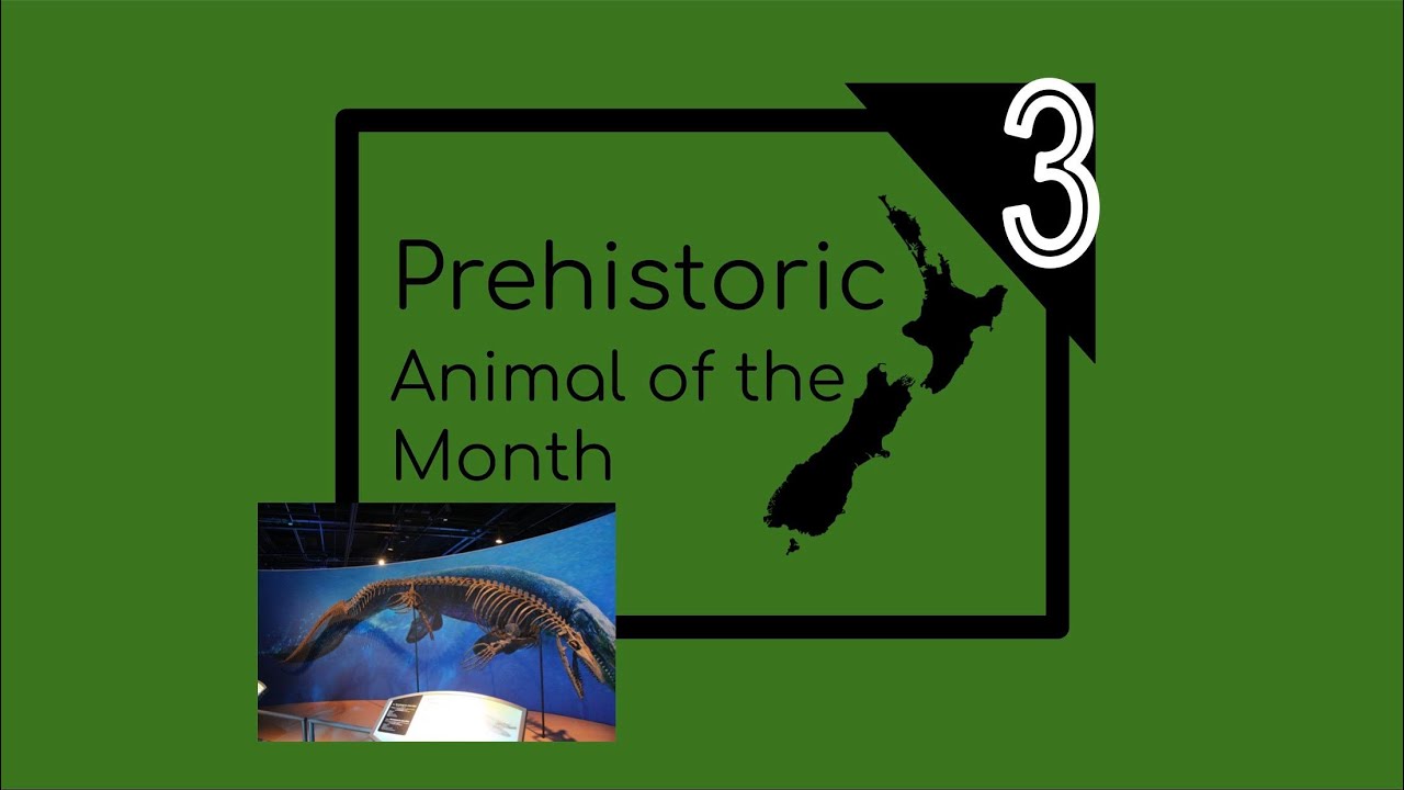 Prehistoric New Zealand - Prehistoric Animal of the Month Episode 3 ...