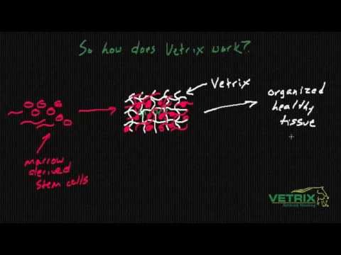 Vetrix - How Vetrix Works - YouTube