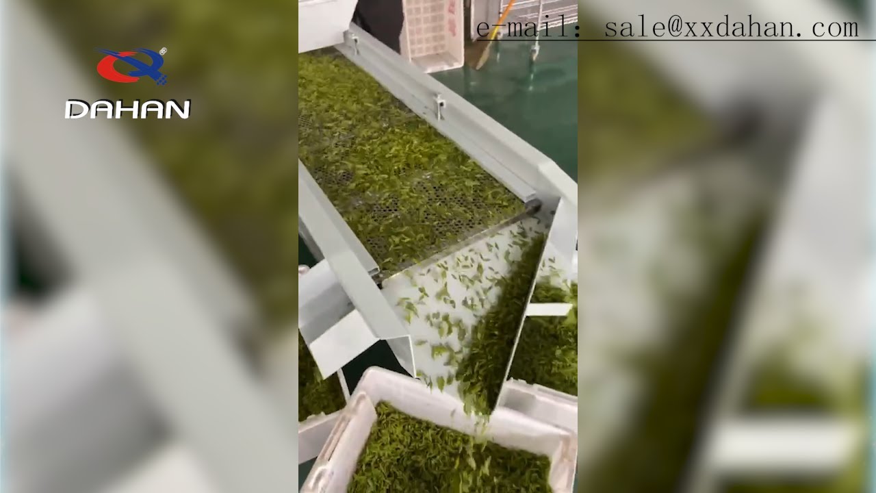 tea screening machine - YouTube
