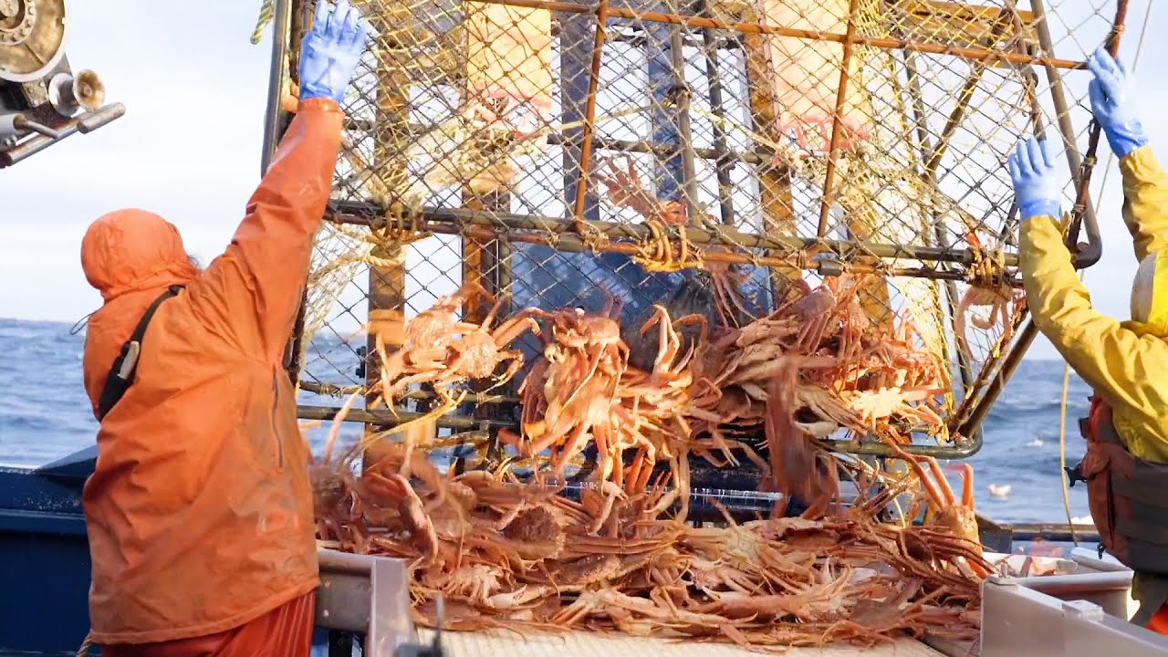 It's amazing! Fishing crabs in the Bering Sea, every crab pot is full ...