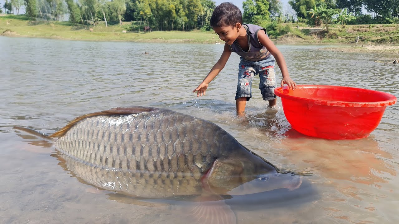 Amazing Boy Catching Fish By Hand | Traditional Boy Catching Big Fish ...