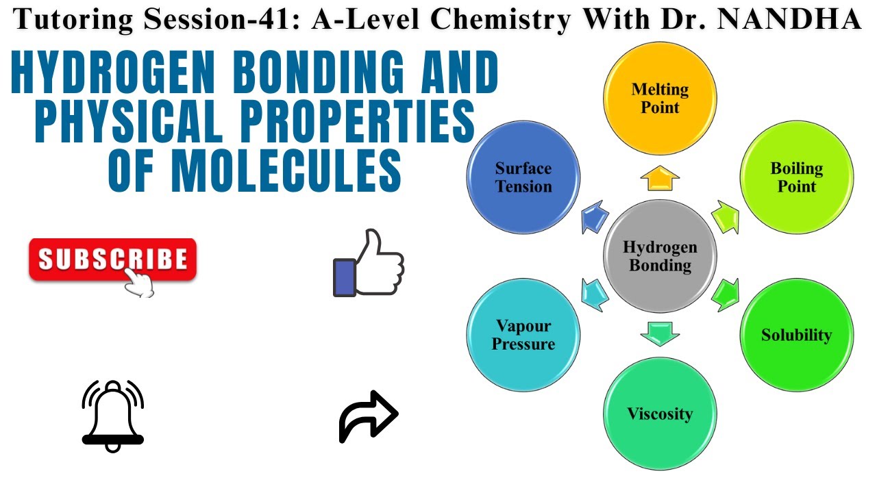 HYDROGEN BONDING | THE IMPACT OF HYDROGEN BONDING ON THE PHYSICAL ...