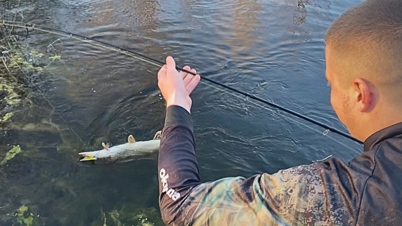 Pecanje štuke na silikonce. Malo jezero a velike ribe ! - YouTube