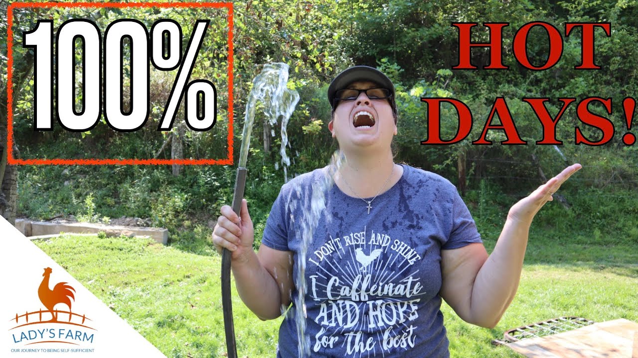 Hot Days on the Farm! Keeping the farm animals cool on hot days. - YouTube