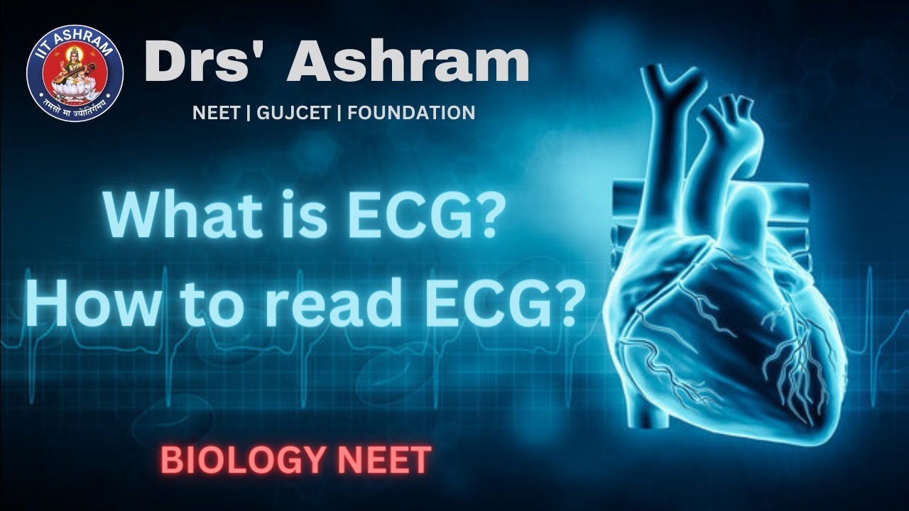 What is ECG? How to read ECG? Biology NEET - YouTube
