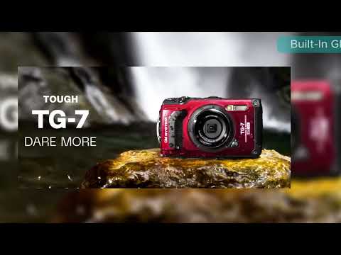 5 Best Underwater Camera for Snorkeling 2025 | Top Waterproof & GoPro Alternatives