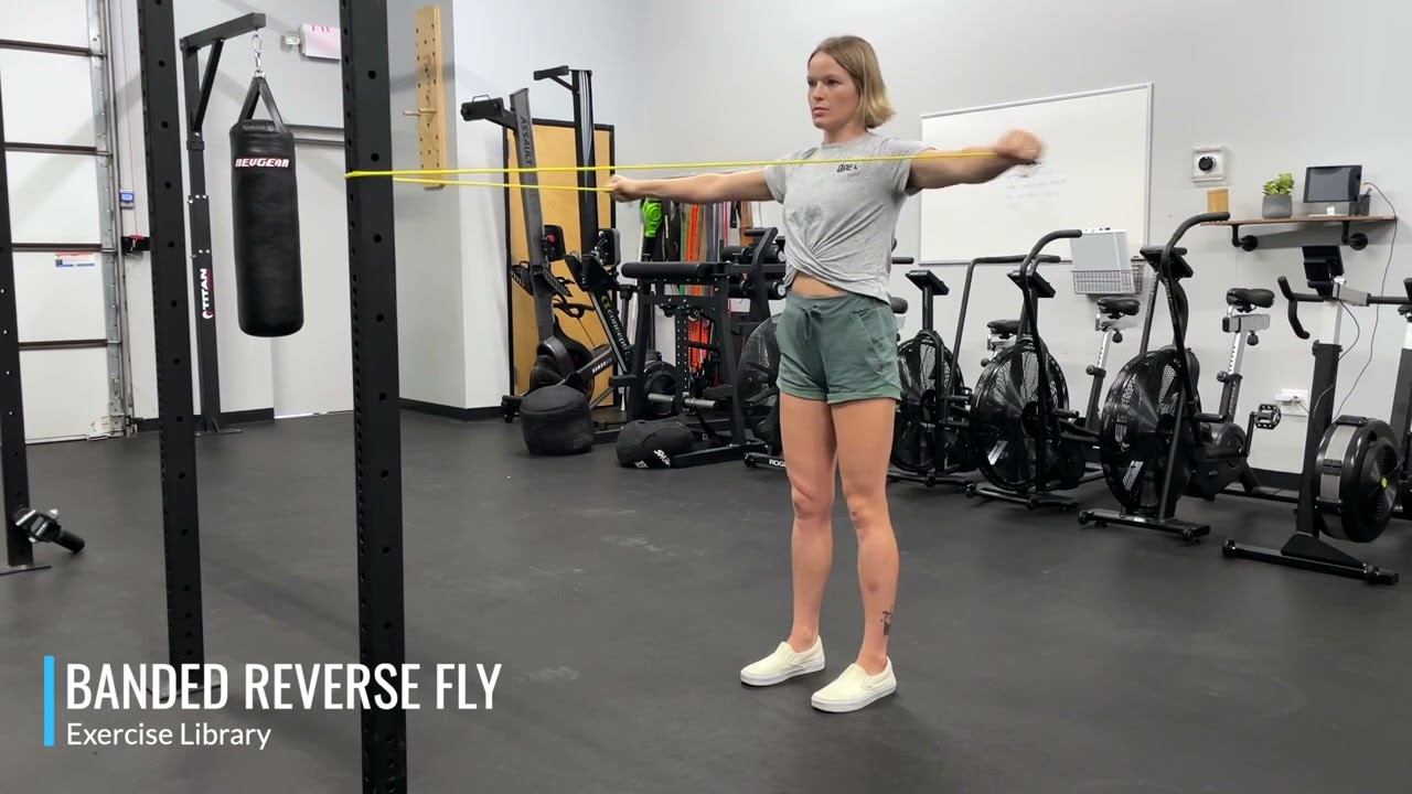 Banded Reverse Fly - YouTube