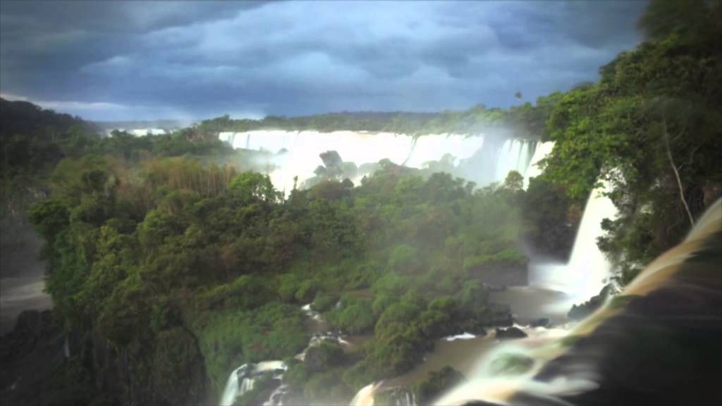 SKY TV - Rainforest Rescue - Ad - YouTube