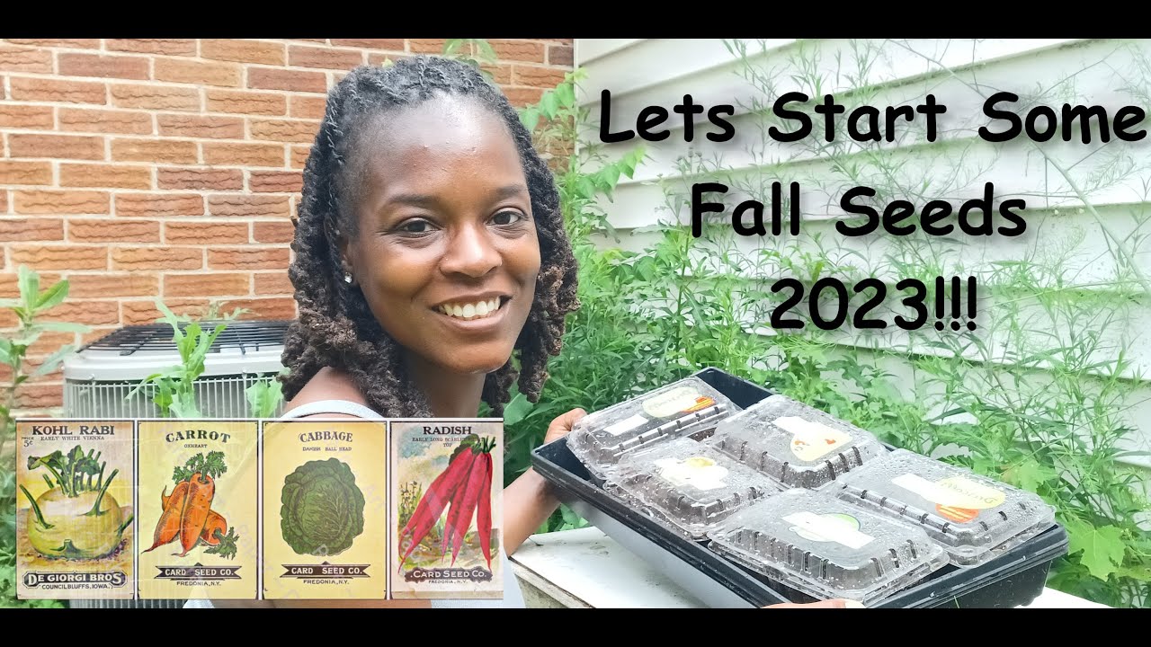 Lets Start Fall Seeds 2023!!! - YouTube