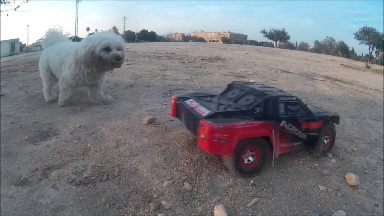 WLtoys 12423 & WLtoys 12428 part 2 - YouTube