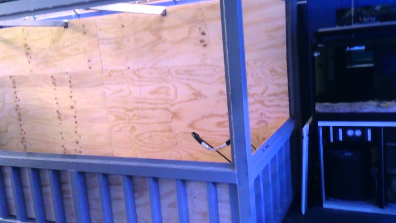 Video blog 2 setting up my shark tank laying ply - YouTube