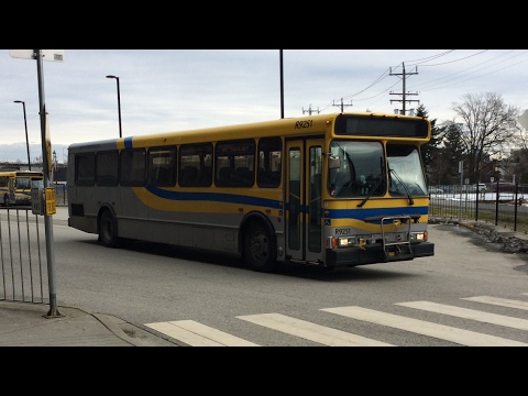 Episode 20: Translink 2001 Orion V 05.501 R9251 - YouTube