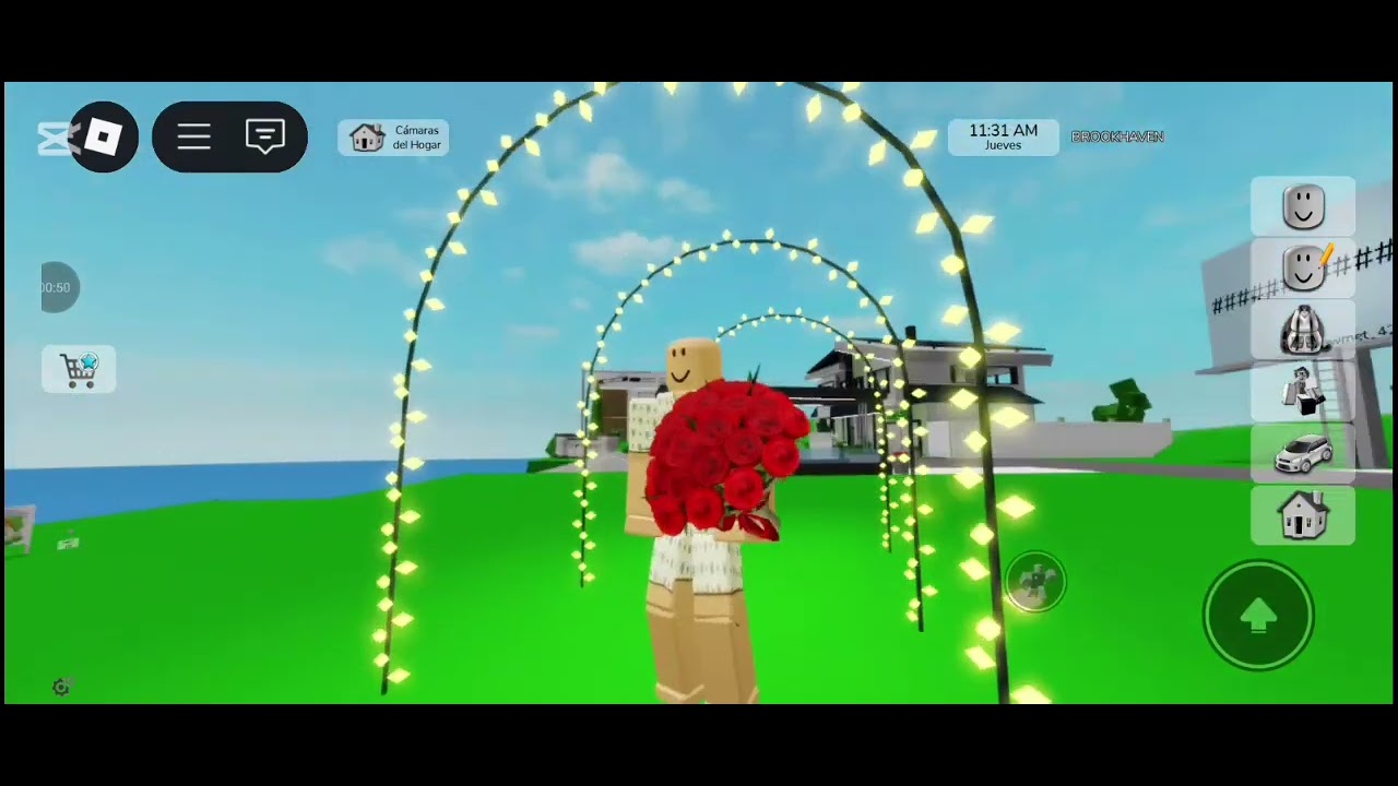 Codes 3D para brookhaven🤑 ️ - YouTube