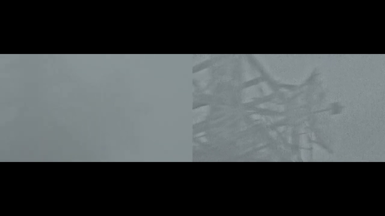 ProHawk AI Restores Visibility in Dense Fog | Communications Tower ...