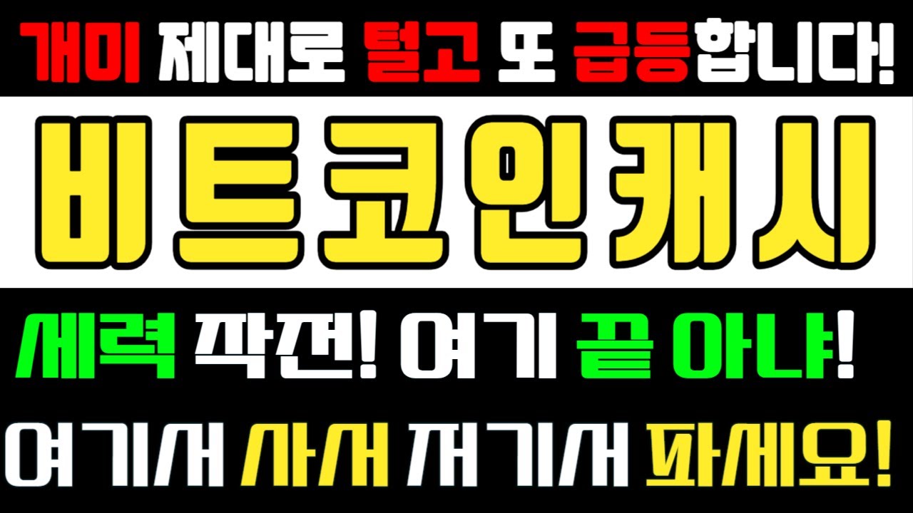 비트코인캐시 세력포착 세력은 여기까지 올립니다 비트코인캐시비트코인캐시전망비트코인캐시분석비트코인캐시목표가