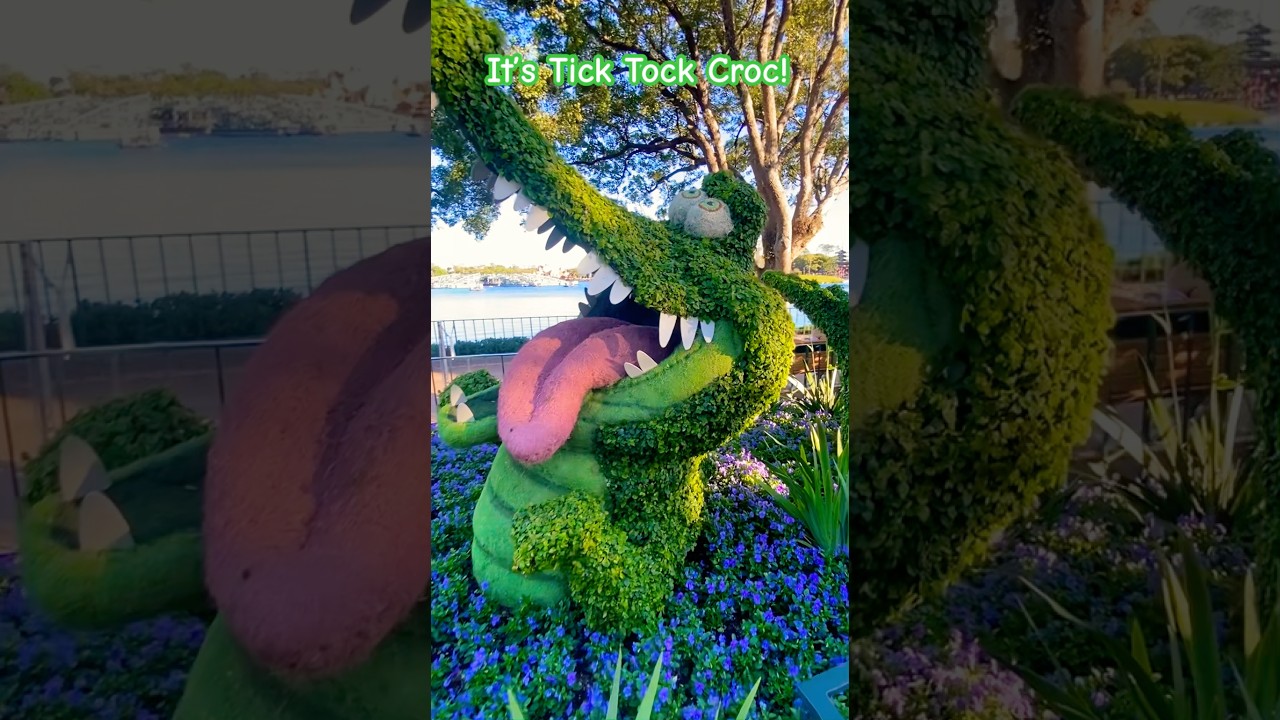 The Peter Pan crocodile topiary at Epcot! #shorts #disney #disneyworld ...