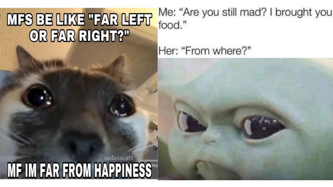 Daily Memes To Watch While Eating #4 - YouTube