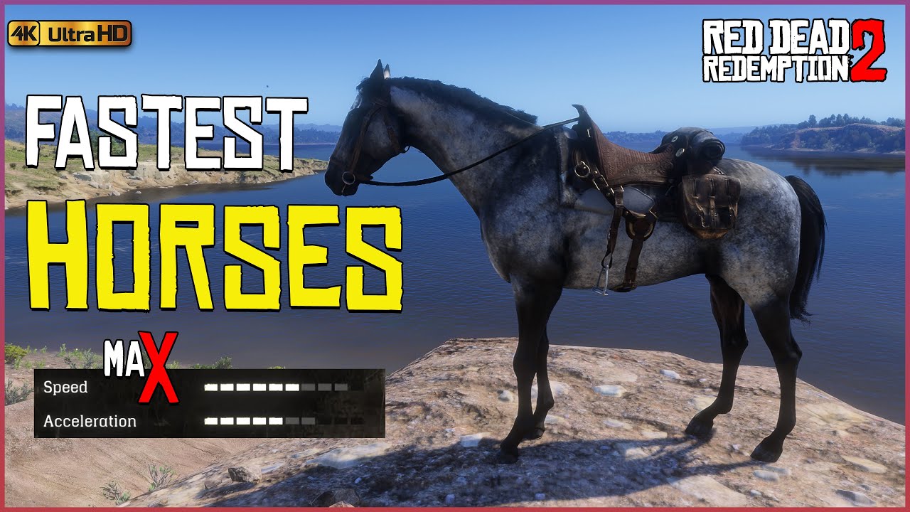 How To Get The Highest Stats Horses - Red Dead Redemption 2 - YouTube