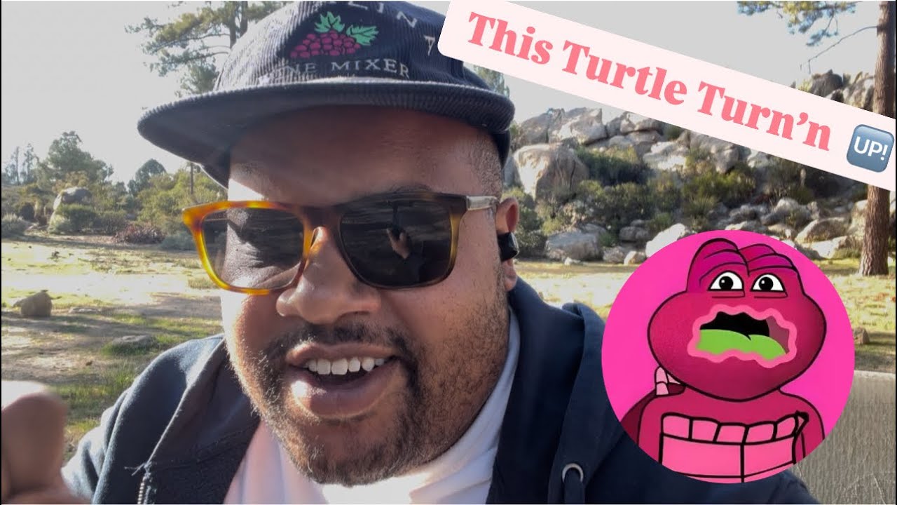 🚀 Jerry the Turtle (JYAI) Skyrockets 160% in 24H! Next 100x AI Gem? 🐢🚀 ...