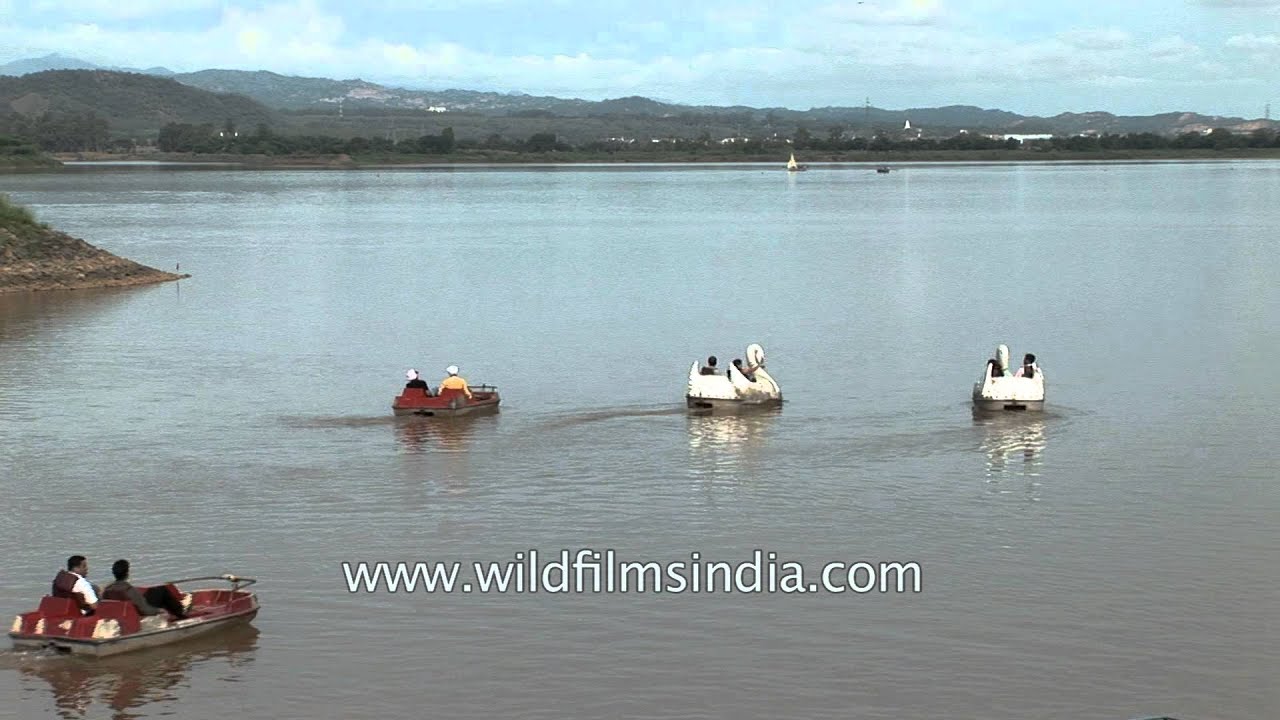 Swan shaped pedal boats at Sukhna Lake, Chandigarh - YouTube