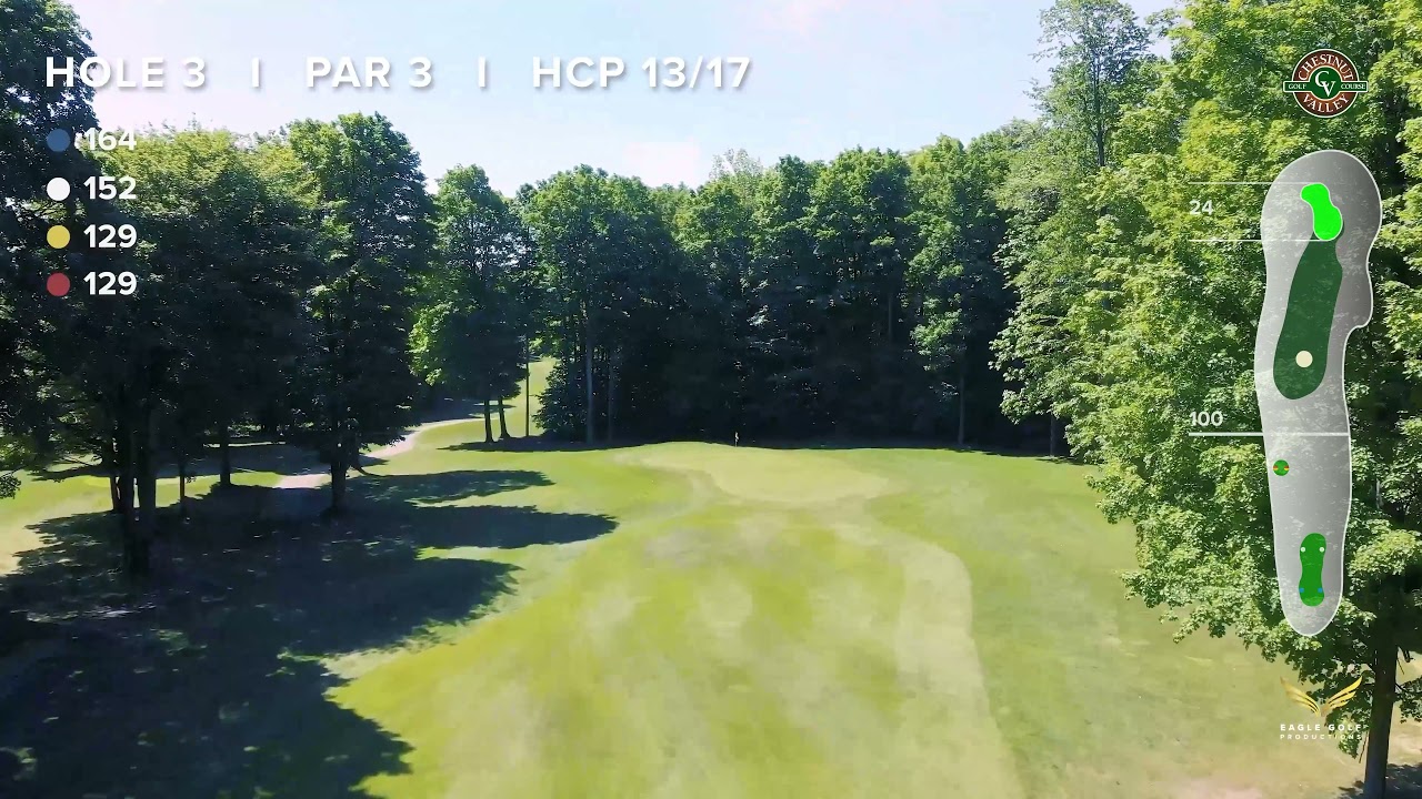Hole 3 at Chestnut Valley Golf Course - YouTube