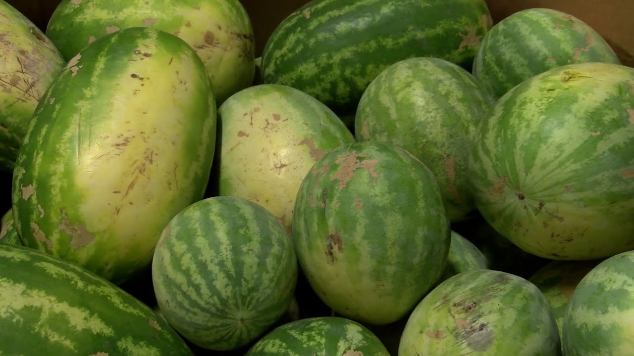 Andy Souza Red Cross Hero - YouTube