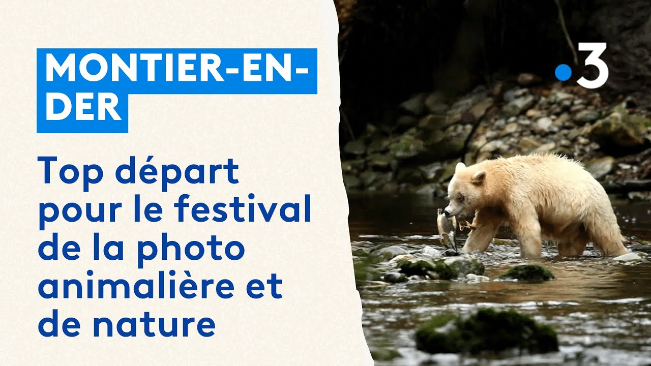Le festival de photo animalière et de nature bat son plein à Montier-en ...