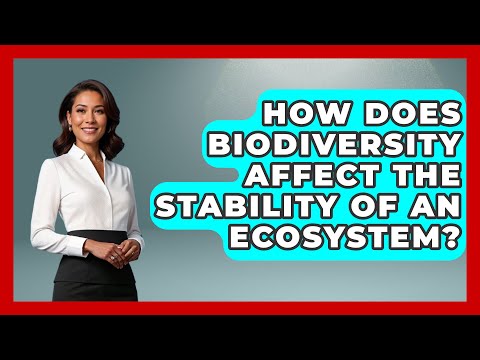 Why Increase Biodiversity Contributes To Stability In An Ecosystem