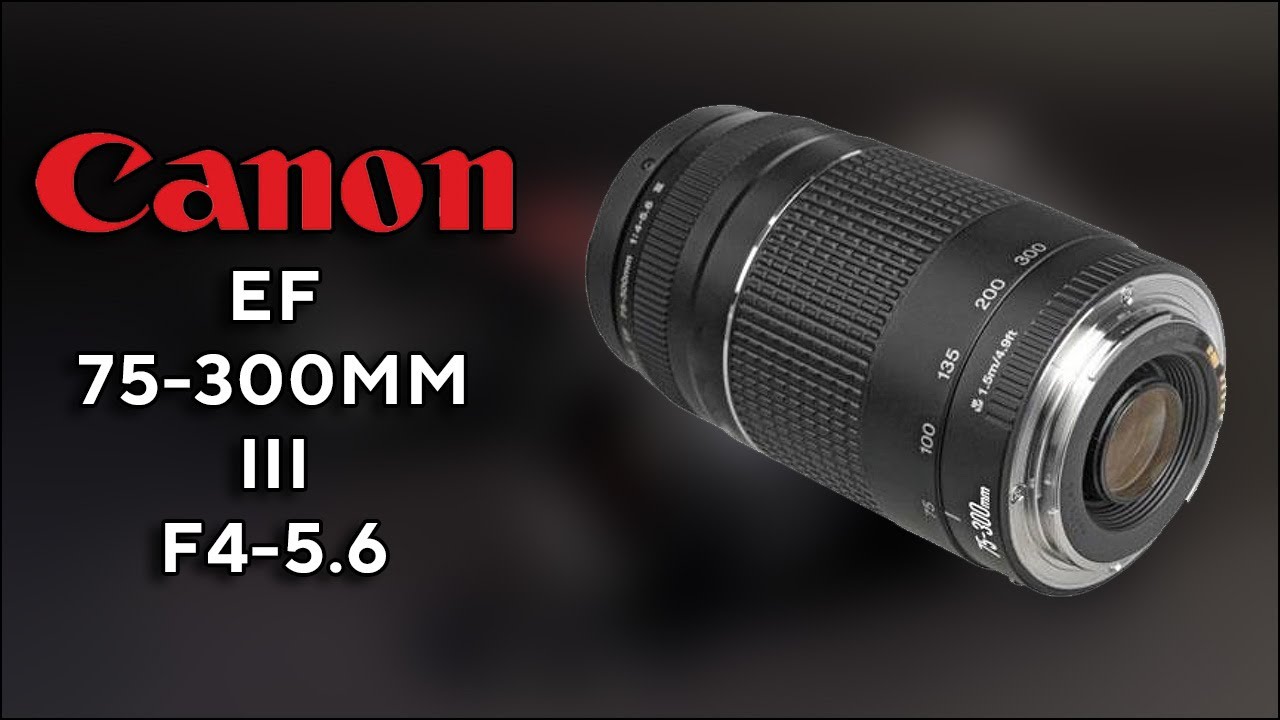 Объектив Canon EF 75-300 III Бюджетный телевик - YouTube