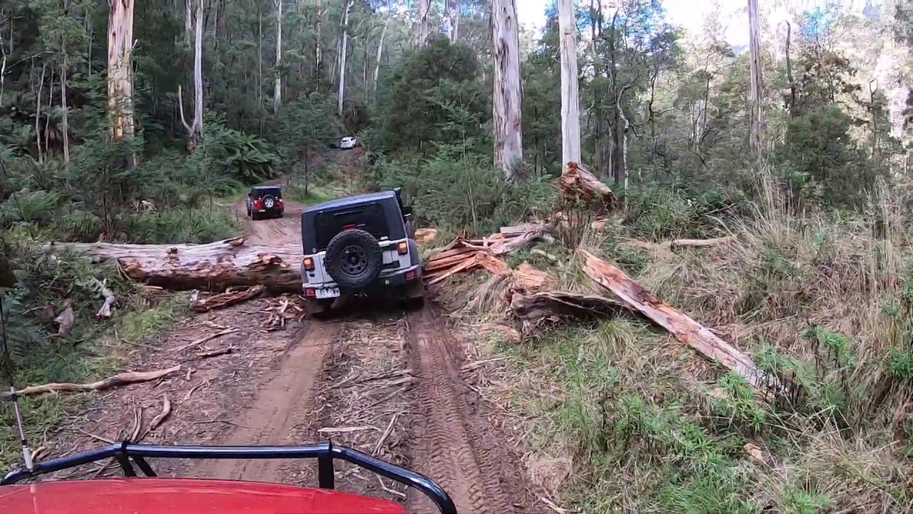 Suzuki Grand Vitara in Big River State Forest / Mount Matlock 30/05/20 ...