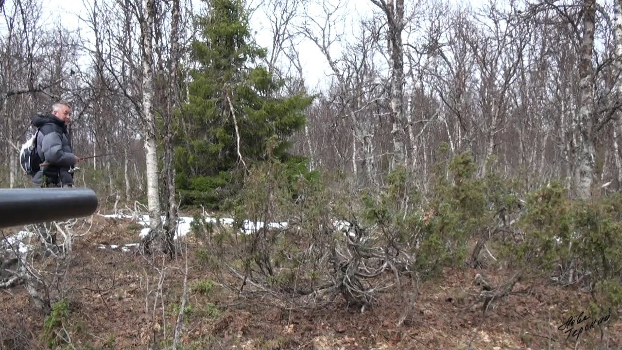 Охота в лесотундре / Hunting in the forest-tundra - YouTube