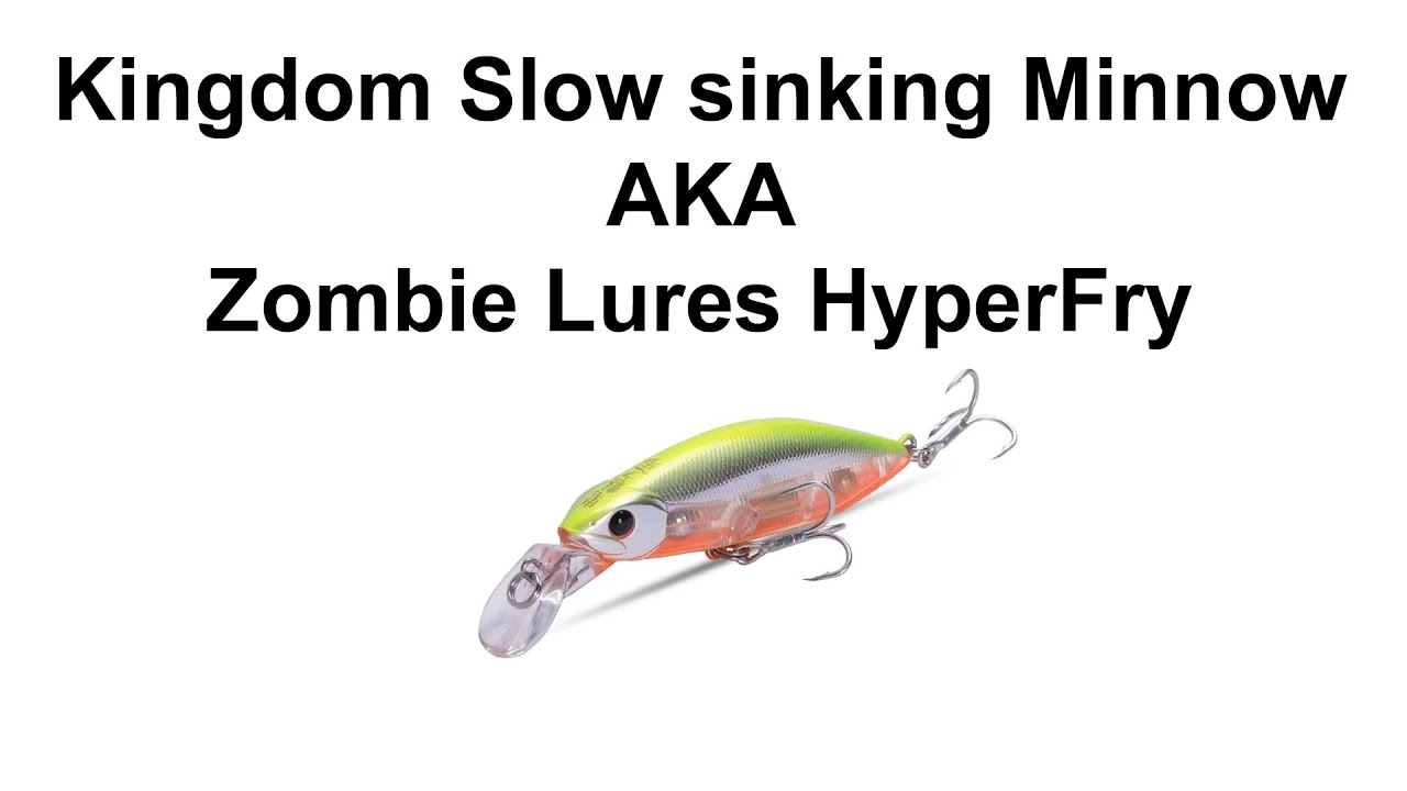 Kingdom Sinking Minnow review - YouTube